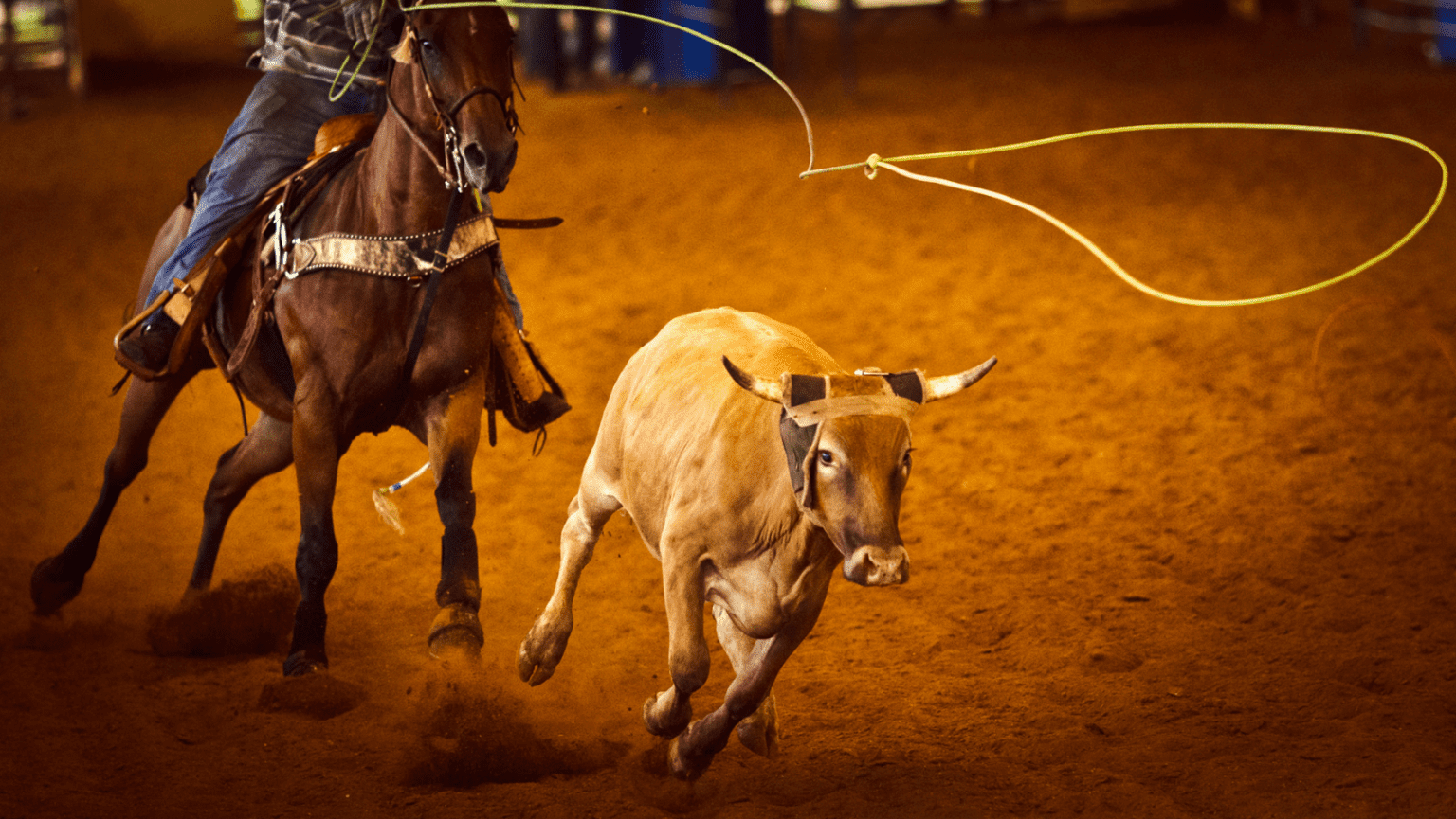 Experience the thrill at K-State College Rodeo in Manhattan, KS